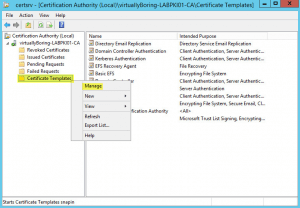 How to setup Microsoft Active Directory Certificate Services [AD CS] - Virtually Boring