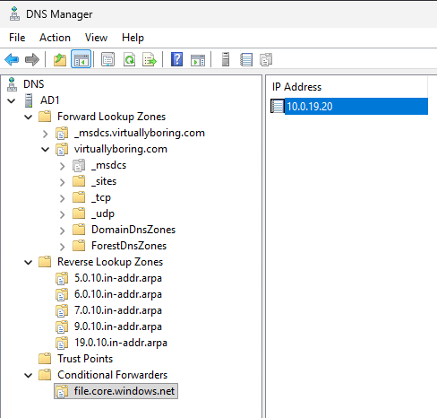 Azure Private Endpoints, DNS Private Resolver, and Conditional ...